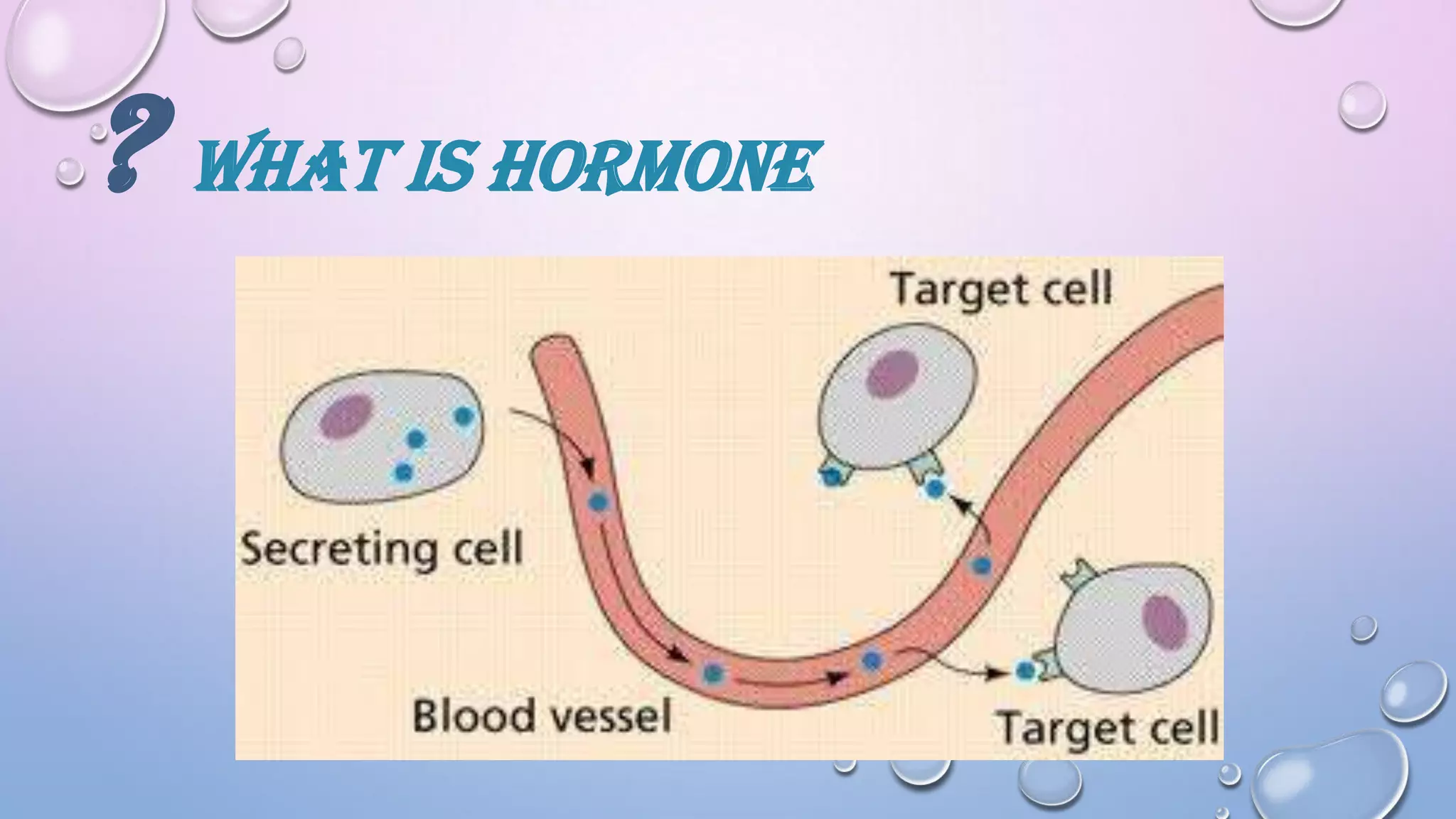 Hormones& | PPT