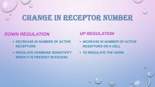 Hormones& | PPT