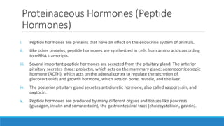 Hormones | PPTX
