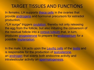 FSH, LH & Testosterone | PPTX