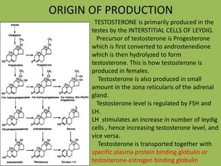 FSH, LH & Testosterone | PPTX
