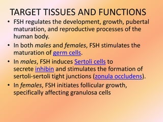 FSH, LH & Testosterone | PPTX