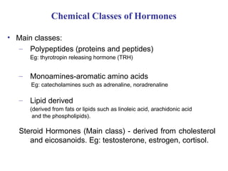 Hormones | PPT