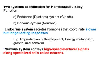 Hormones | PPT
