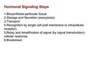 Hormones | PPT