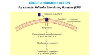 Hormones | PPTX