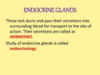 Hormones | PPTX