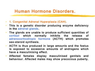 Hormones | PPT