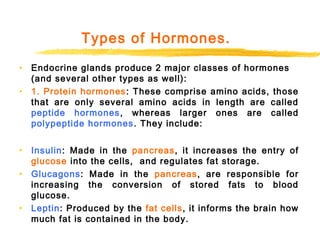 Hormones | PPT