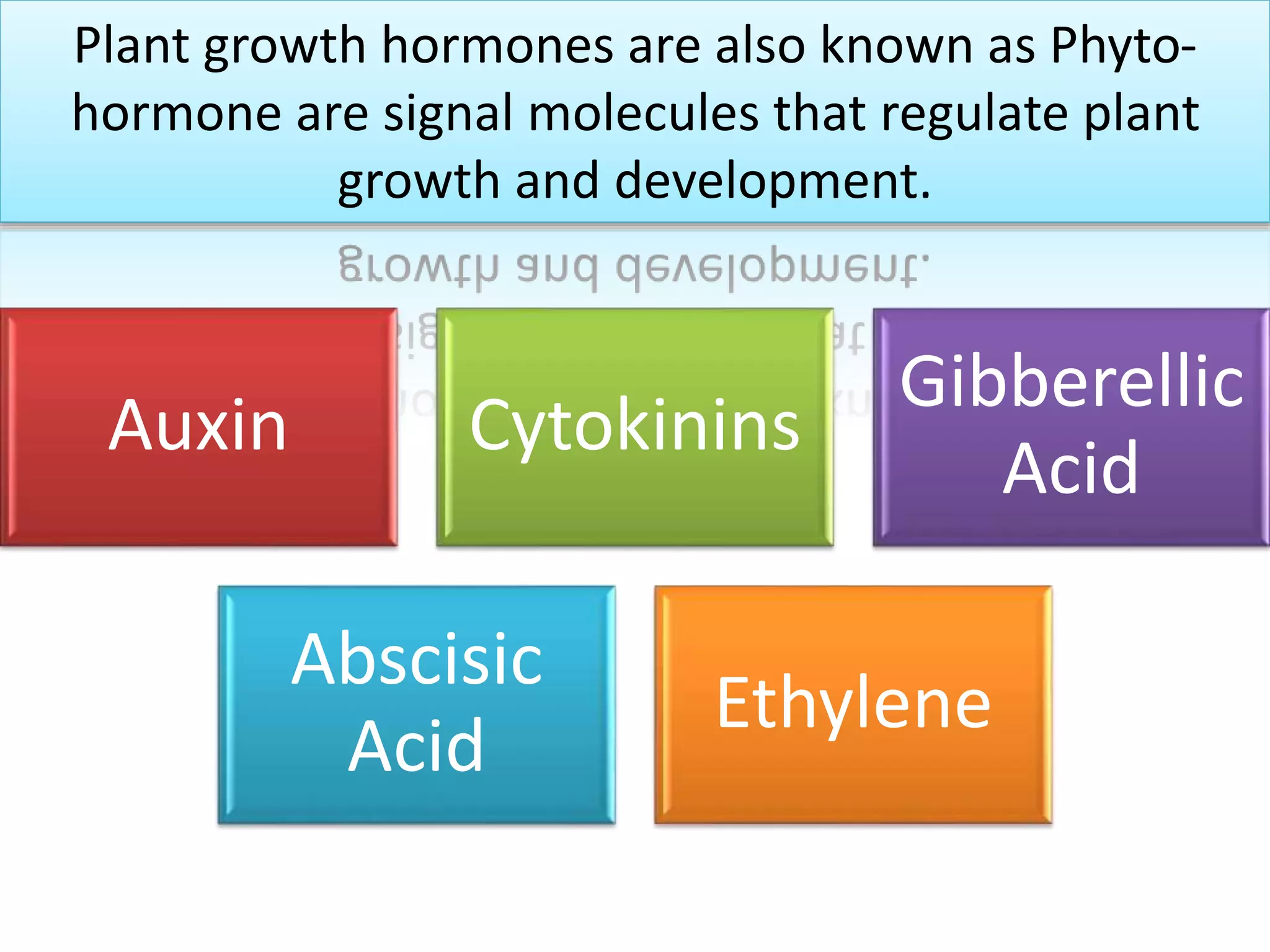 Hormones | PPTX