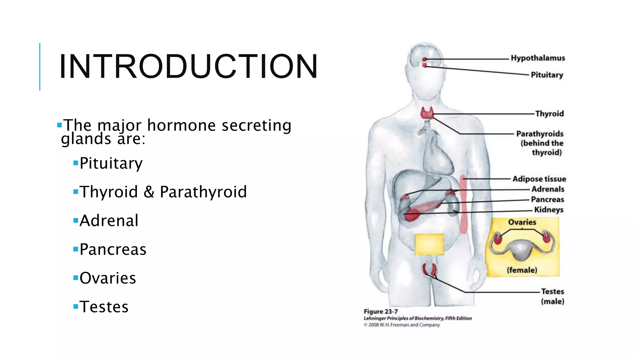 Hormones | PPTX