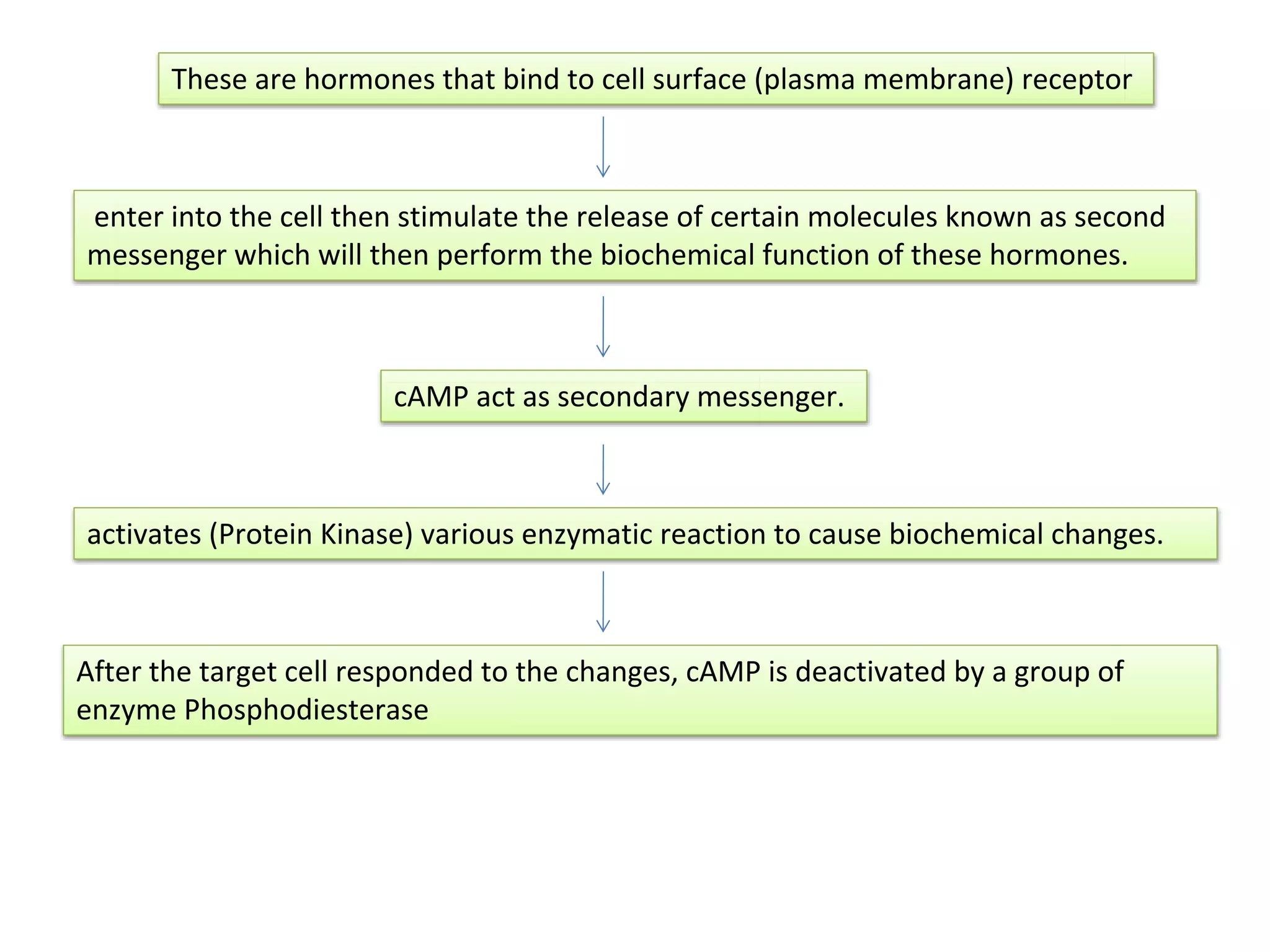Hormones and its classification | PDF