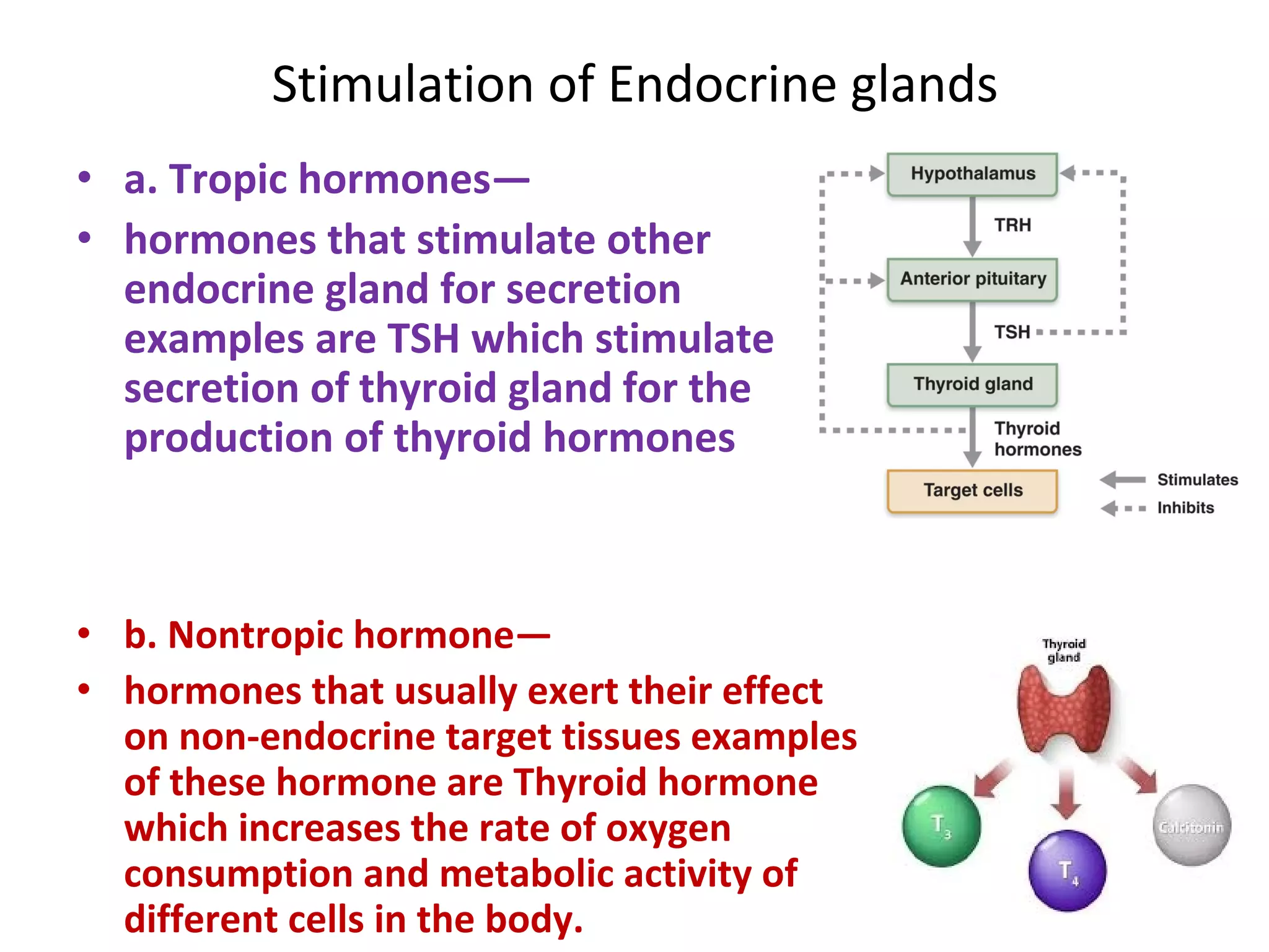 Hormones and its classification | PDF