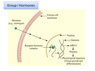 Hormones and its classification | PDF
