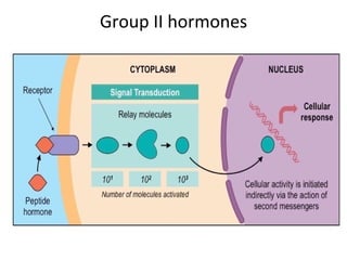 Hormones and its classification | PDF