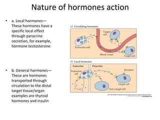 Hormones and its classification | PDF