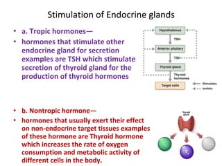 Hormones and its classification | PDF