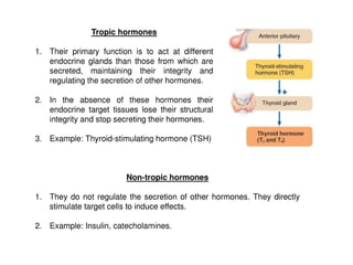 Hormones and its classification | PPT