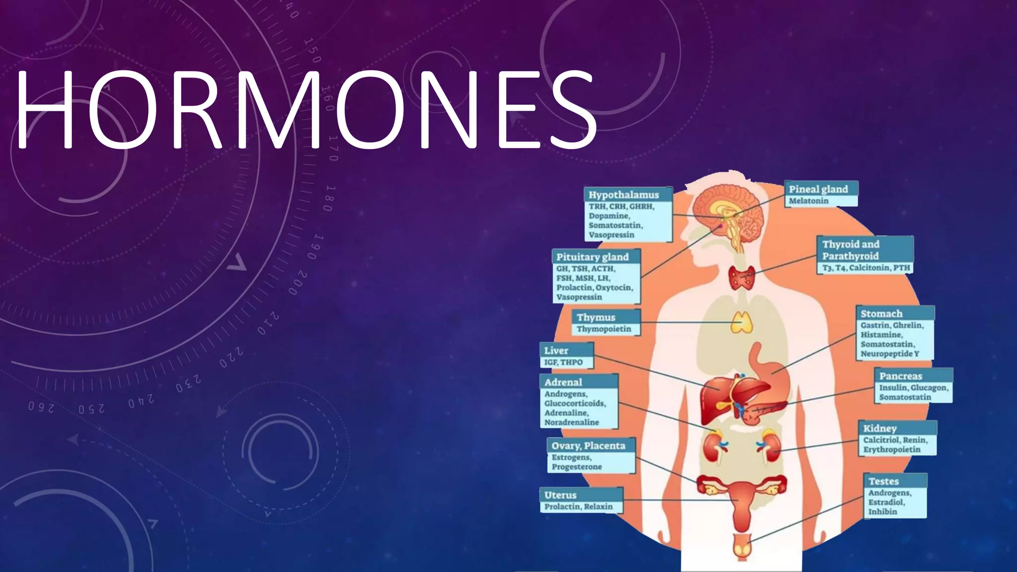 Hormones | PPTX