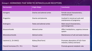 Hormones | PPTX