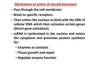 hormones.pptx