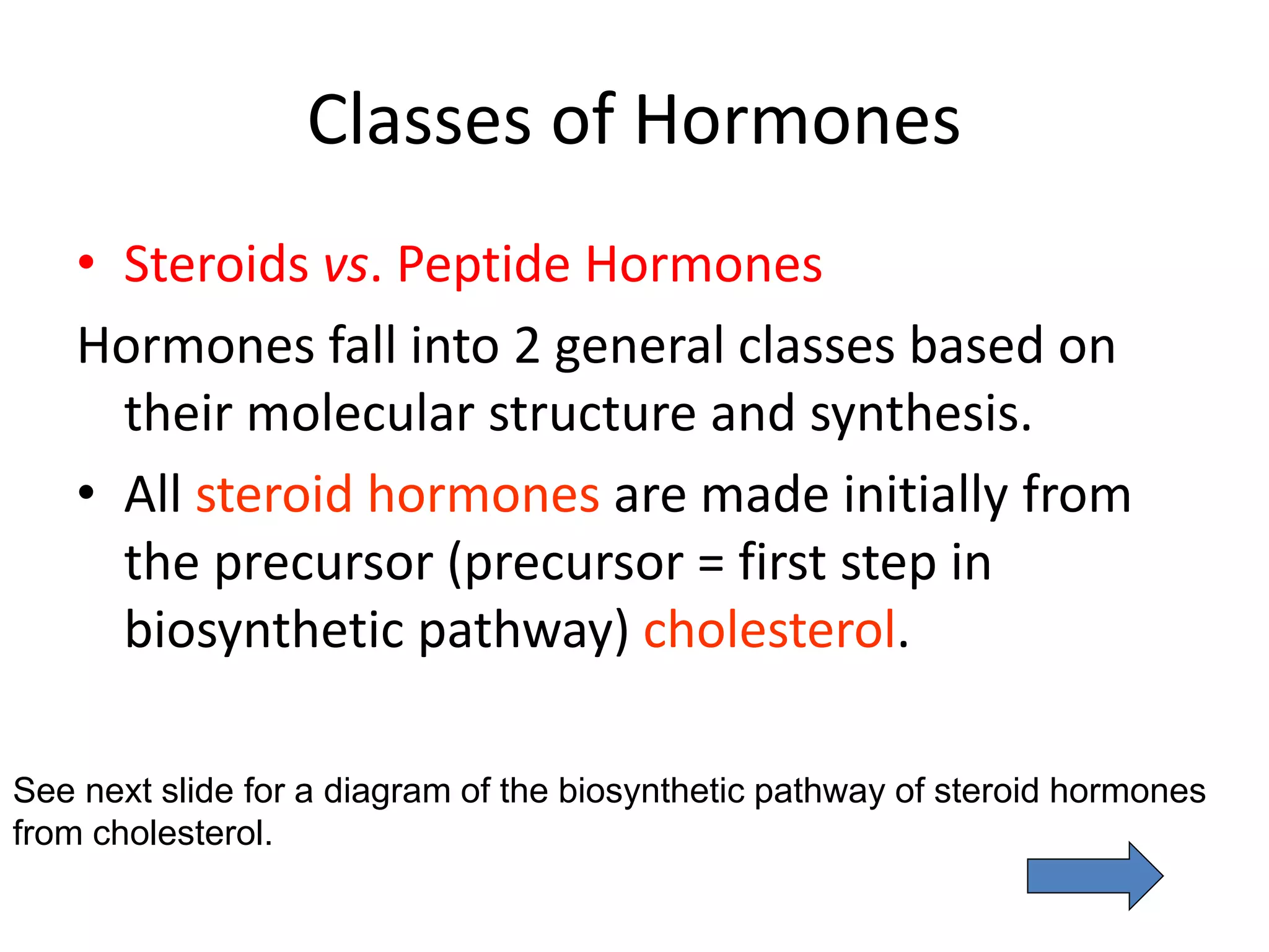 hormones.ppt
