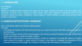HORMONES.pptx