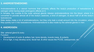 HORMONES.pptx