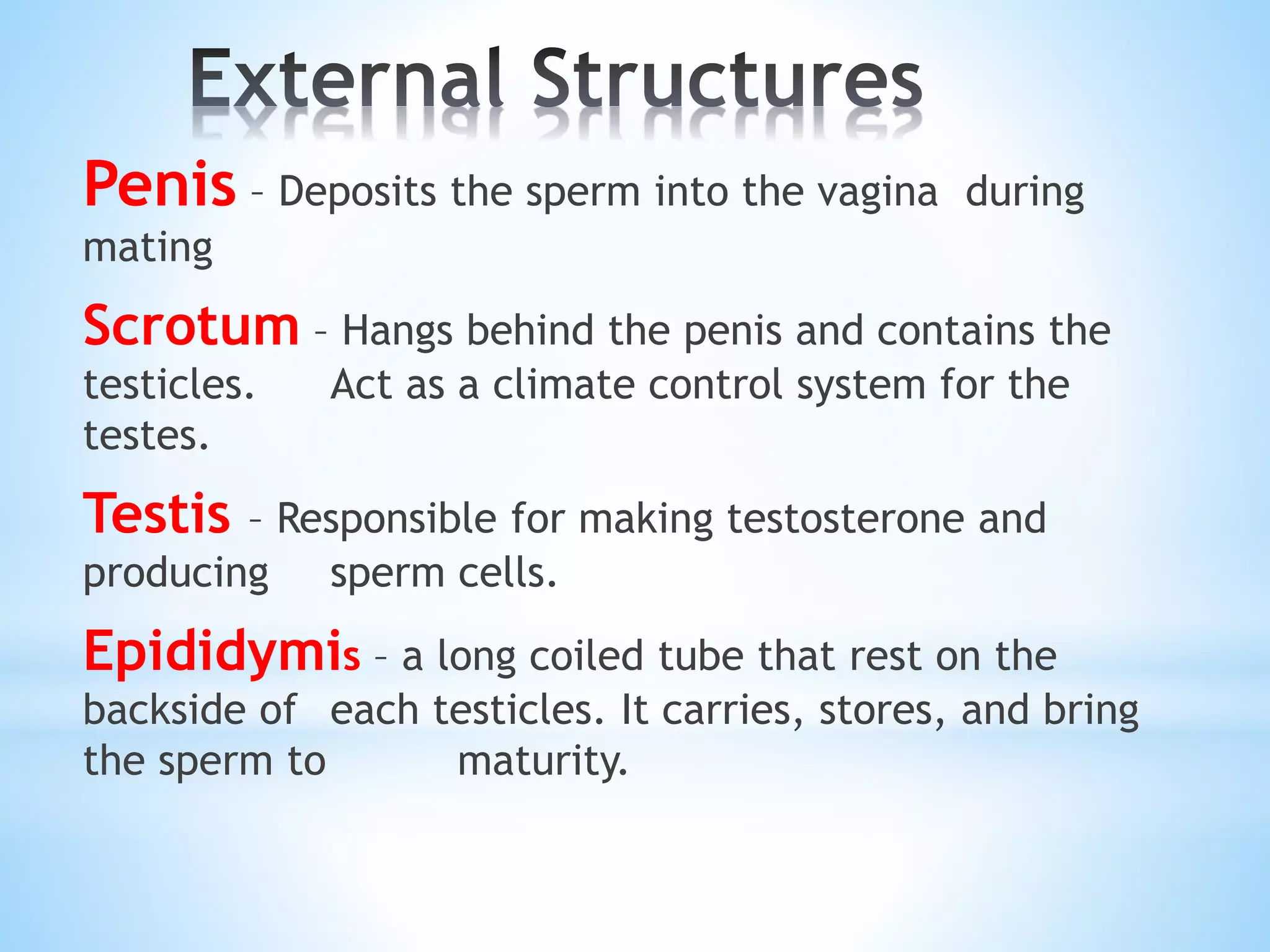 Reproductive System.pptx