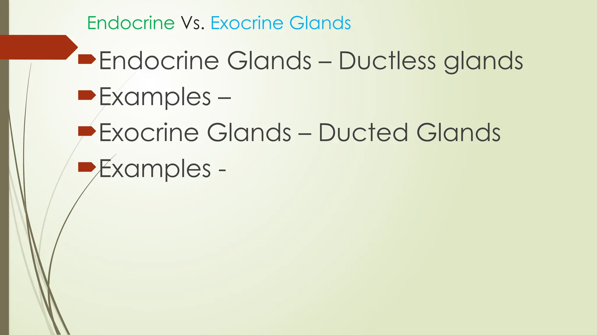 HORMONES AND THE ENDOCRINE SYSTEMS IN HUMANS.pptx