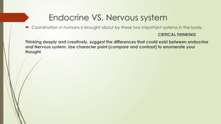 HORMONES AND THE ENDOCRINE SYSTEMS IN HUMANS.pptx