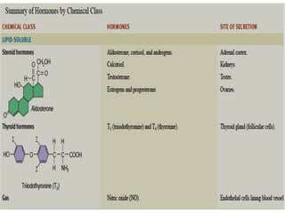 HORMONES.ppt of biochemistry its all about hormones | PPT