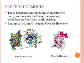 Hormones (Chemical nature of Hormones).pptx