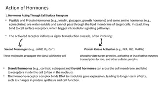 hormones action and synthesis presentation | PPTX