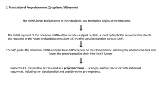 hormones action and synthesis presentation | PPT