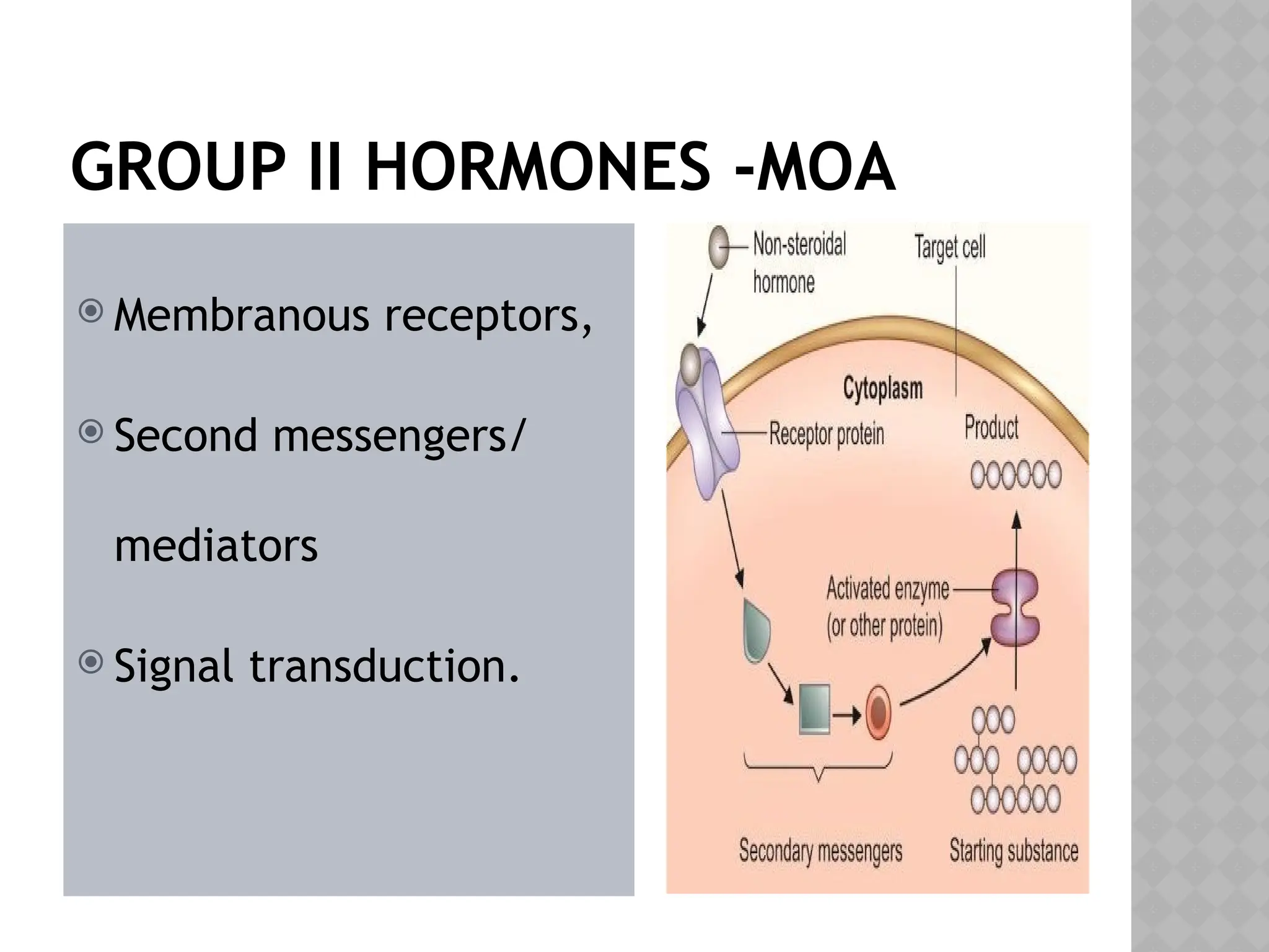 hormones.pptxhyttrttrt55555555t5rrr44er4e | PPTX