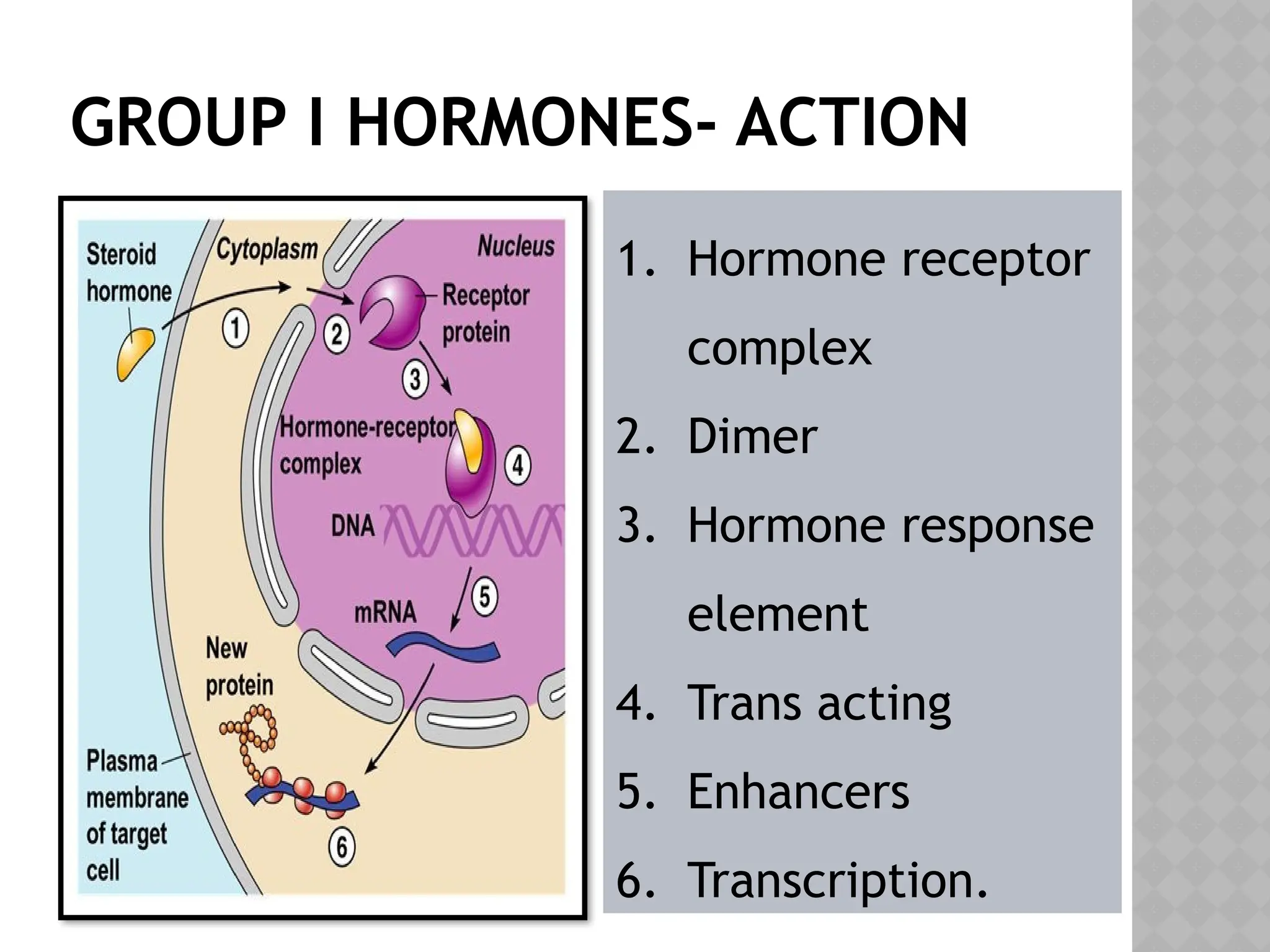 hormones.pptxhyttrttrt55555555t5rrr44er4e | PPTX