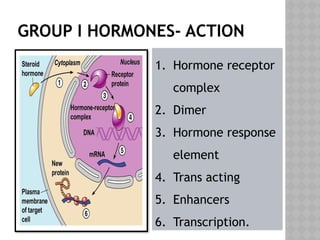 hormones.pptxhyttrttrt55555555t5rrr44er4e | PPT