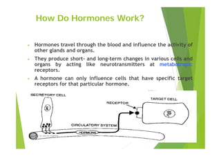 hormones where what is the use of hormones in human body | PDF
