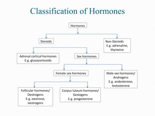 Hormones - Full.pdfuuuuuuuuuuuuuuuuuuuiuui | PDF