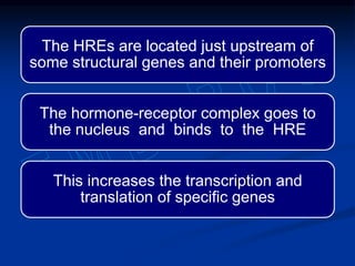 Hormones - general features | PPTX