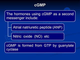 Hormones - general features | PPTX