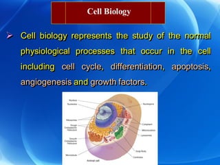 cell biology by dr bekhet elkott | PDF