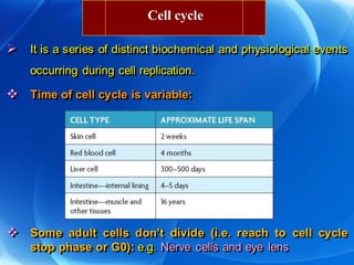 cell biology by dr bekhet elkott | PDF