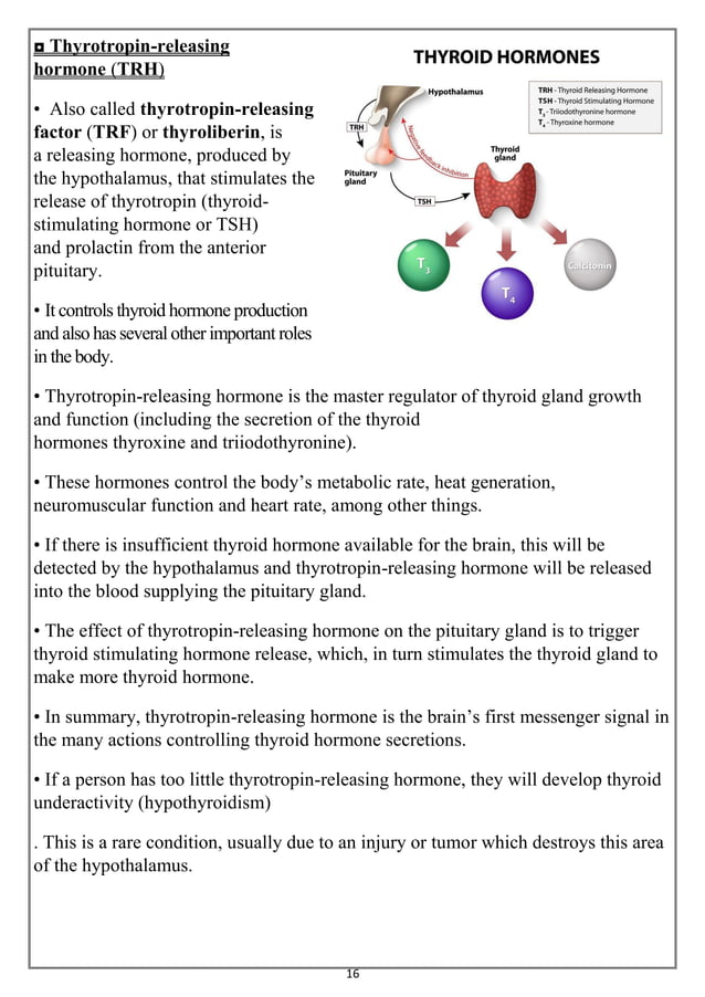 Hormones ( Thyroid Hormone ) | PDF