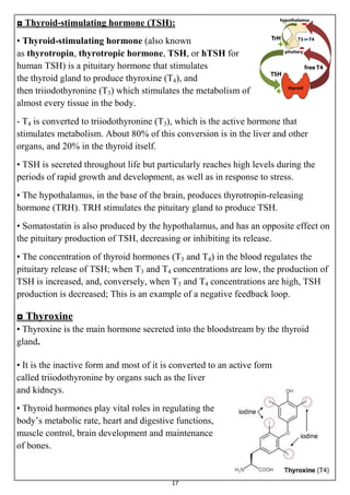 Hormones ( Thyroid Hormone ) | PDF