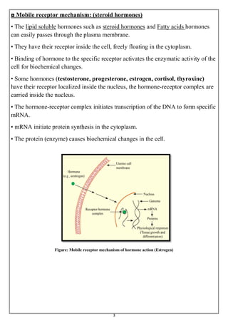 Hormones ( Thyroid Hormone ) | PDF
