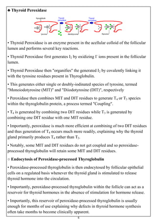 Hormones ( Thyroid Hormone ) | PDF