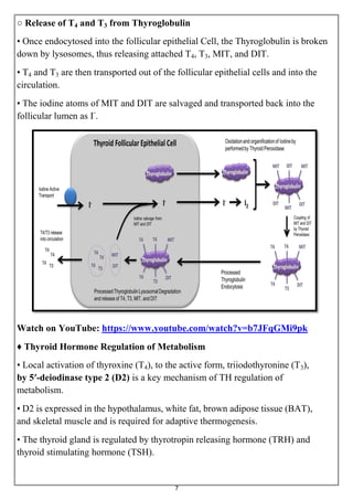 Hormones ( Thyroid Hormone ) | PDF