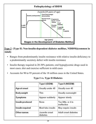 Glucose Metabolism and Diabetes | PDF